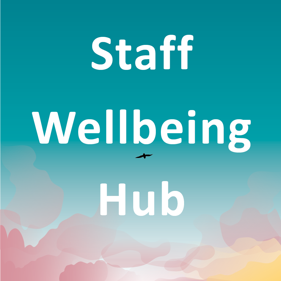 Social Media Content – Media Savvy CIC